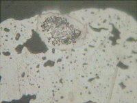 Die Homepage von Thomas Witzke: Systematik Elemente A