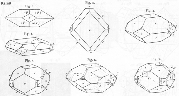 Die Homepage von Thomas Witzke: Entdeckung von Kainit